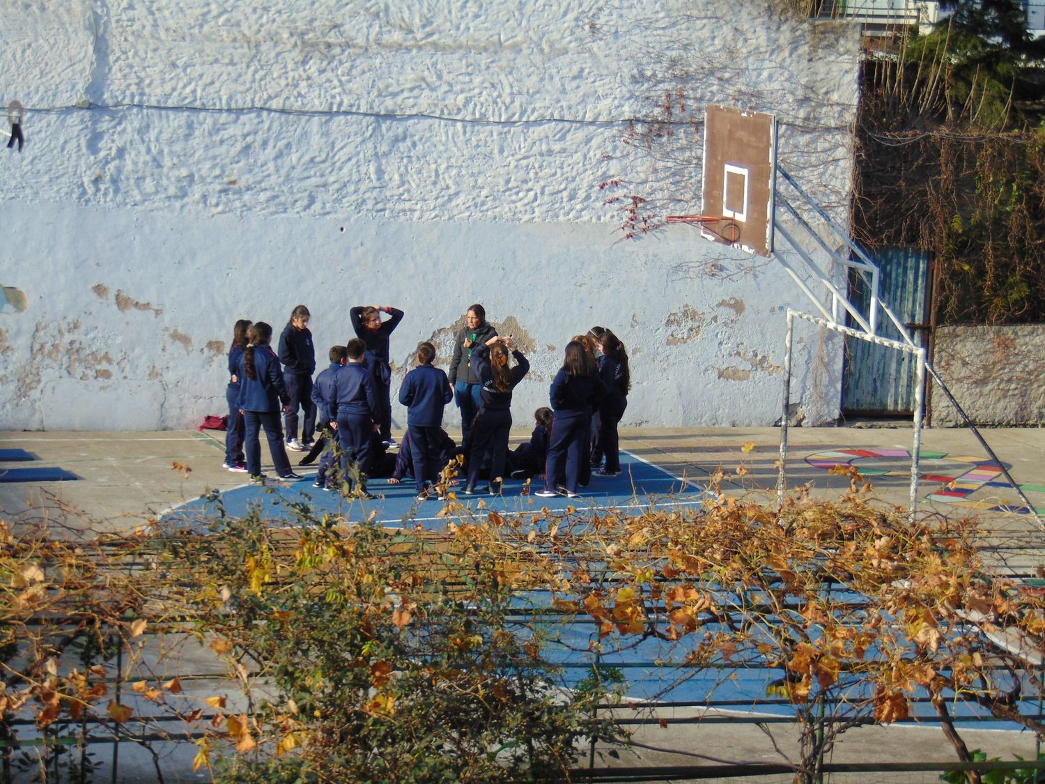 canchapatio-0002 | Cora Web